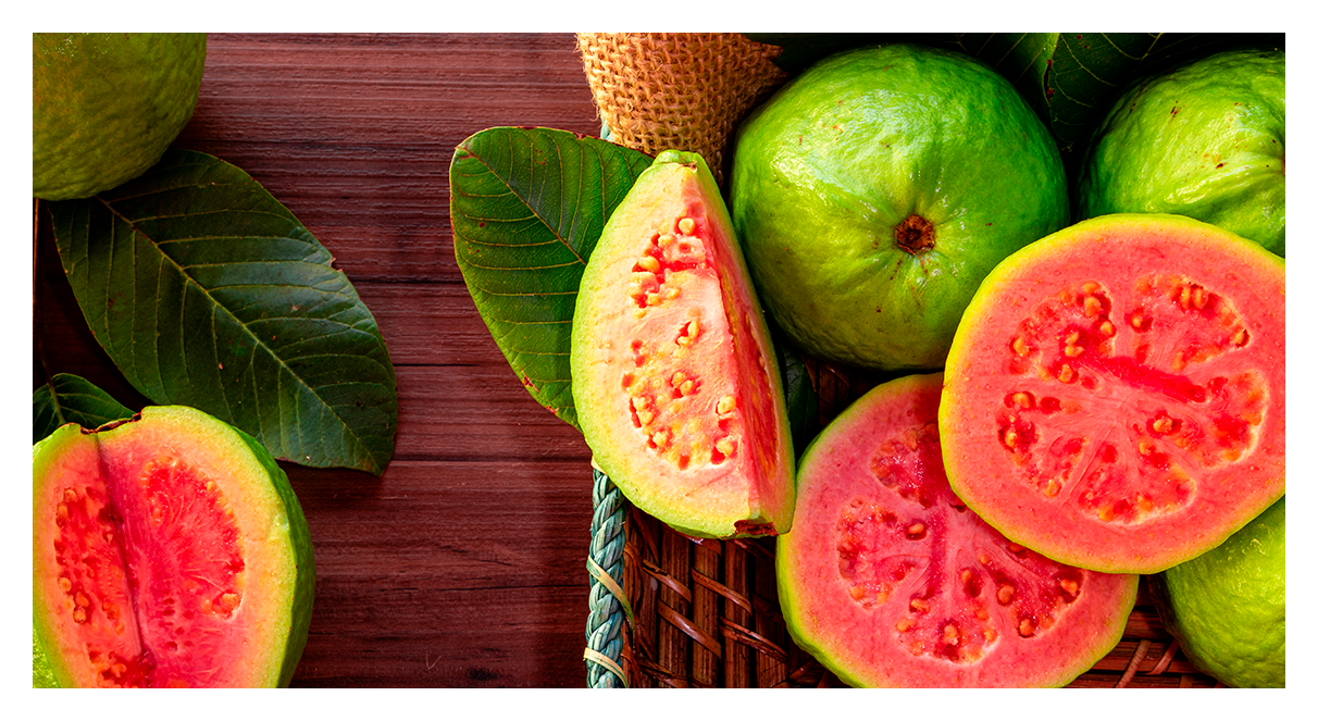 LINHA SOS YAMY! - Yamy